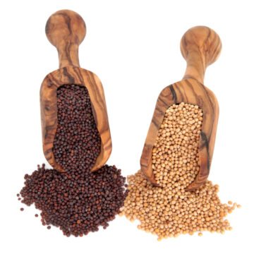 Mustard Seeds: The Crackling Spice That Does More Than You Think ...