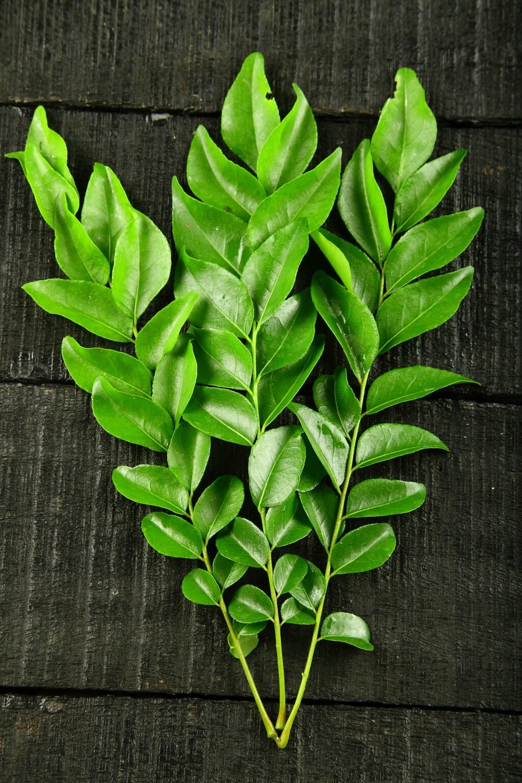 Curry Leaves: From Everyday Cooking to Traditional Remedies - Beyond ...