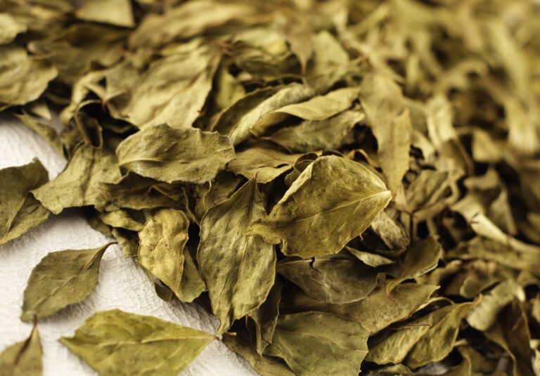 Curry Leaves: From Everyday Cooking to Traditional Remedies - Beyond ...