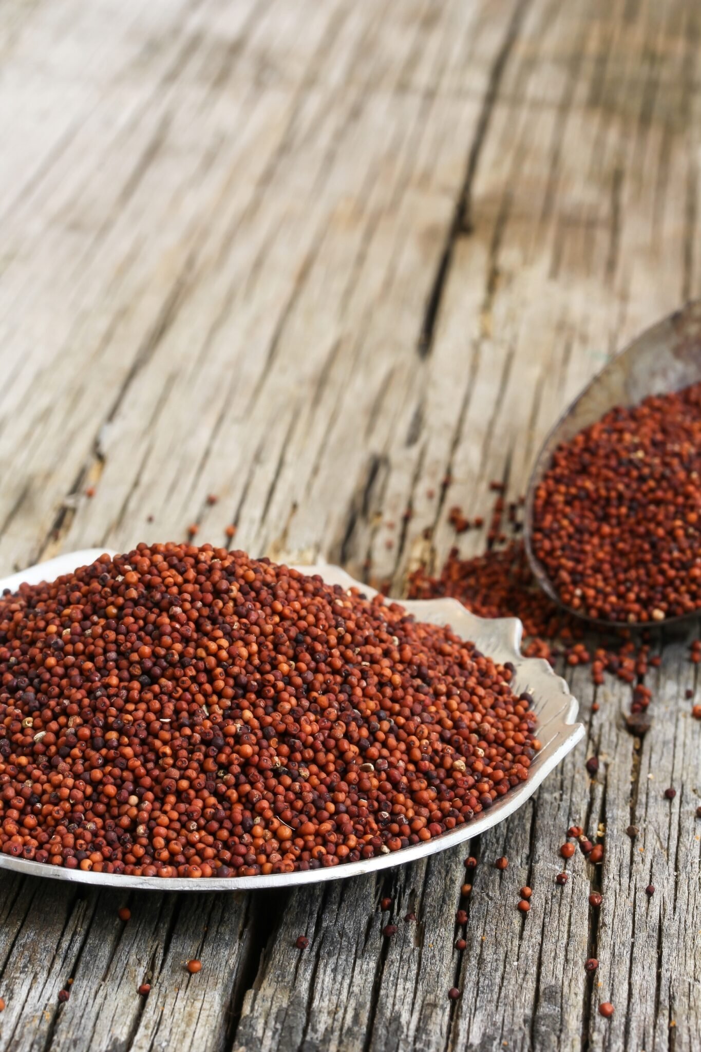 Ragi (Finger Millet): The Ancient Grain Making a Comeback - Beyond Chutney