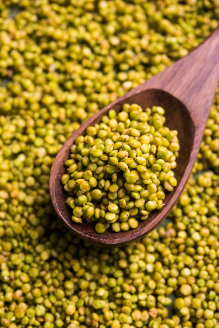 Jowar (Sorghum): From Ancient Fields to Modern Meals - Beyond Chutney