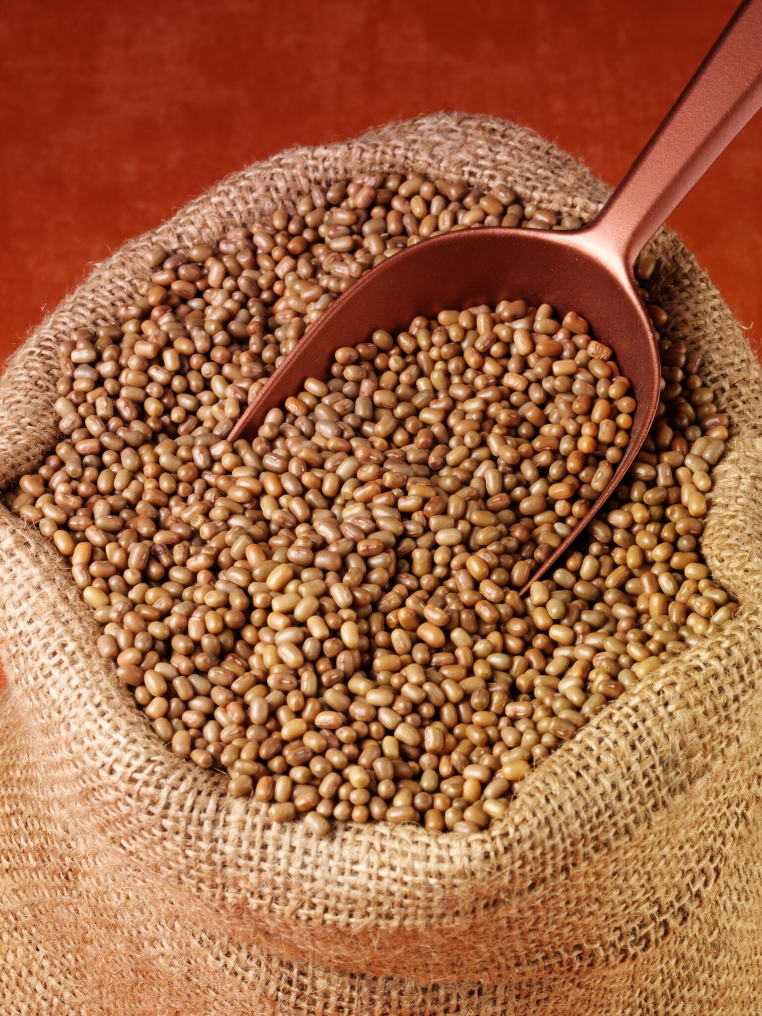 Moth Dal: The Protein-Rich Pulse of Rajasthan - Beyond Chutney